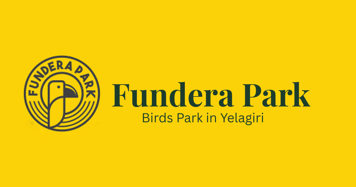 Fundera Park - Birds Park in Yelagiri | Wildlife Experience